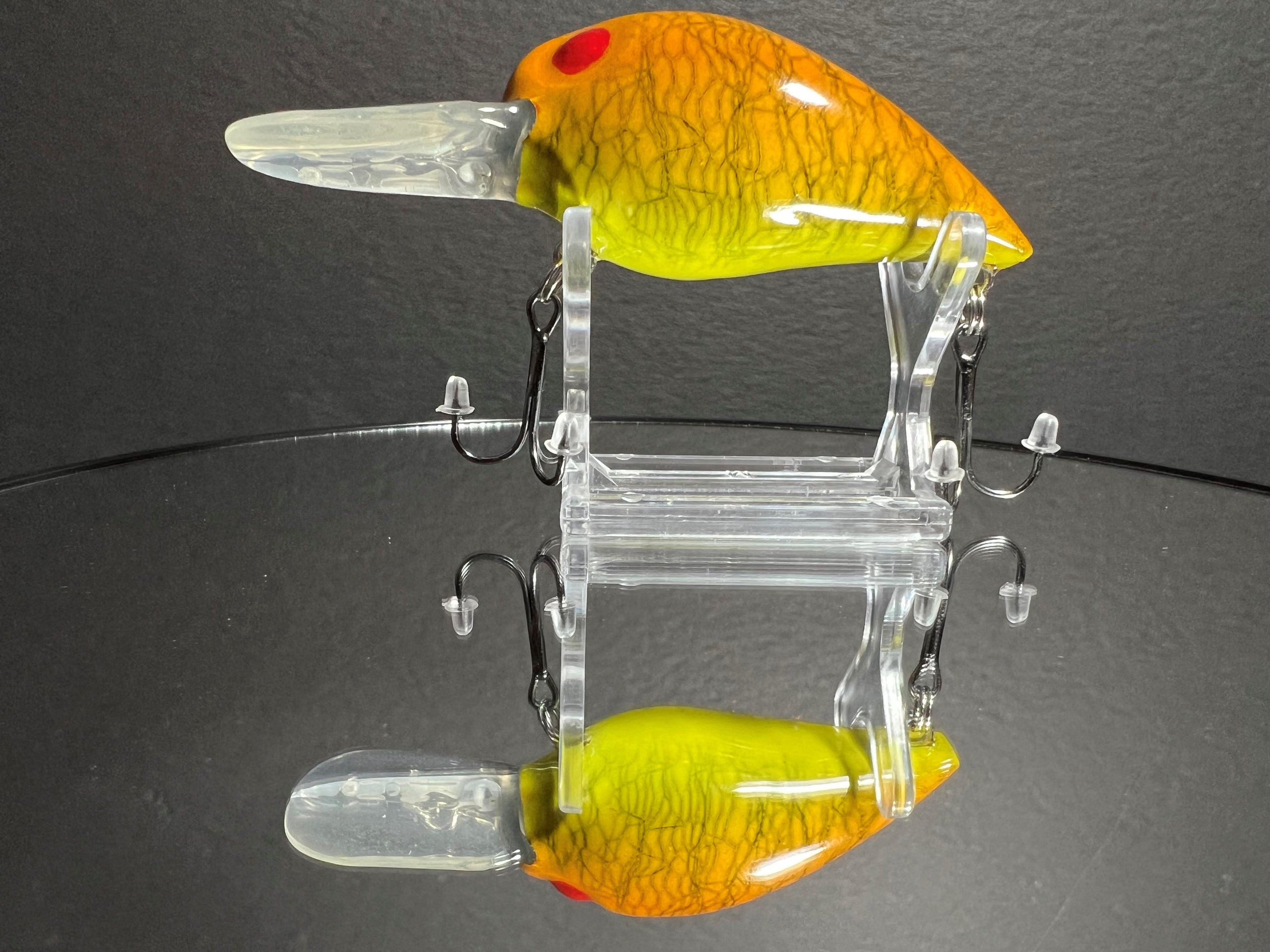 Large Red Eyed Yellow Wart | Barrett Baits